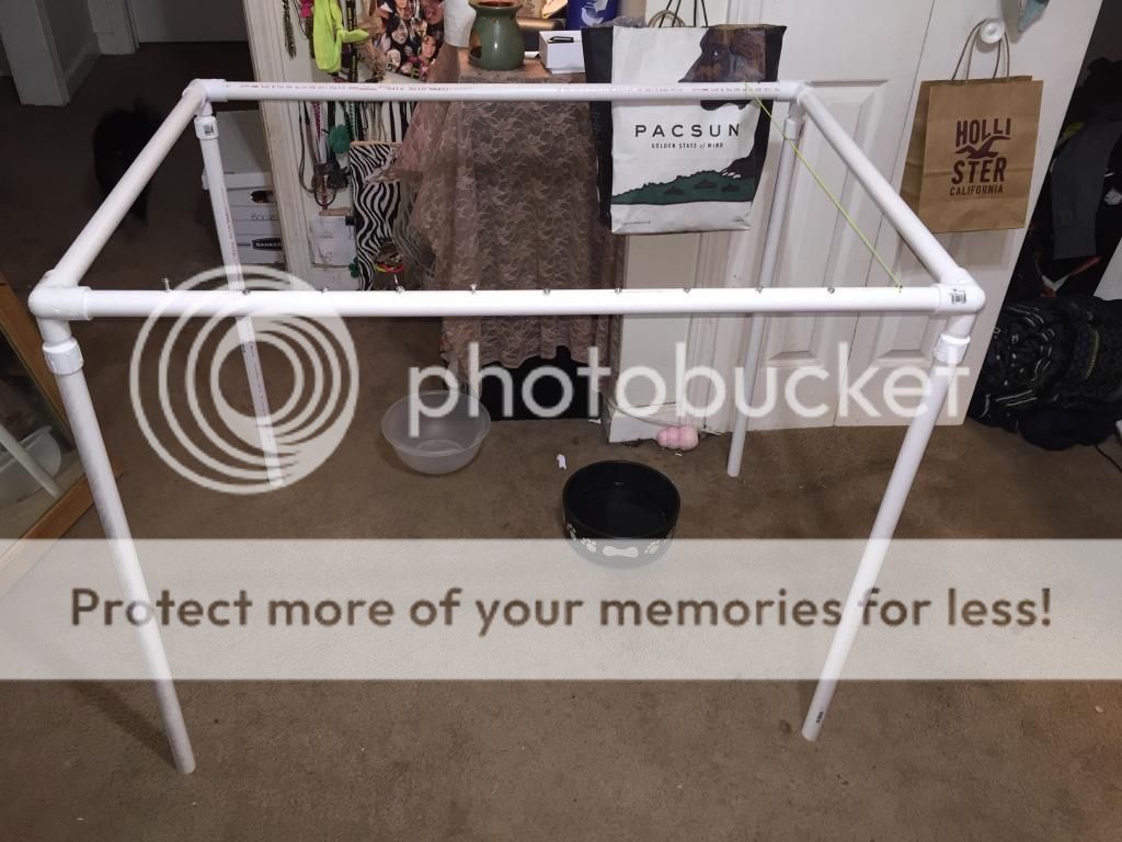 DIY easy SCROG | Rollitup