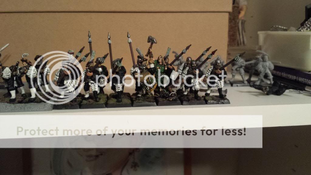 My Ostland army (Pictures) Knight of Ostland