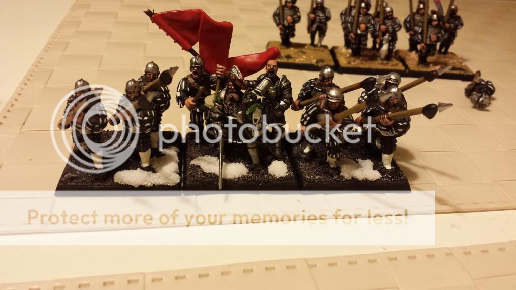 My Ostland army (Pictures) Knight of Ostland