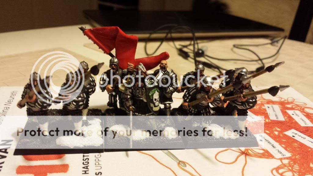 My Ostland army (Pictures) Knight of Ostland