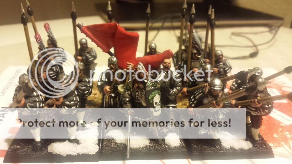 My Ostland army (Pictures) Knight of Ostland